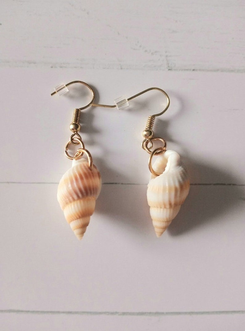 Beautiful Real Sea Shell Small Size Earrings to Wear on a Sandy ...