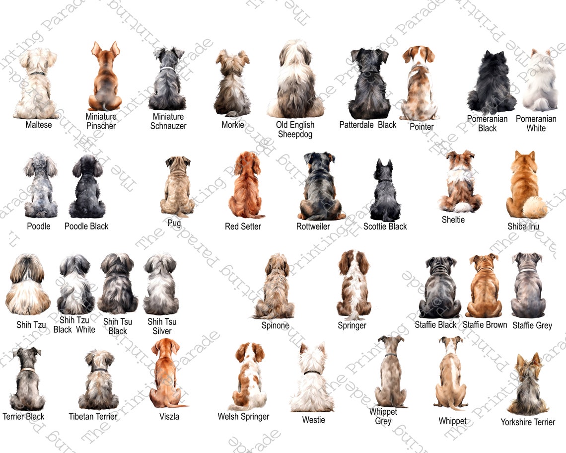 Personalised Dog Bauble, Christmas Decoration, Choice of 4 Designs ...