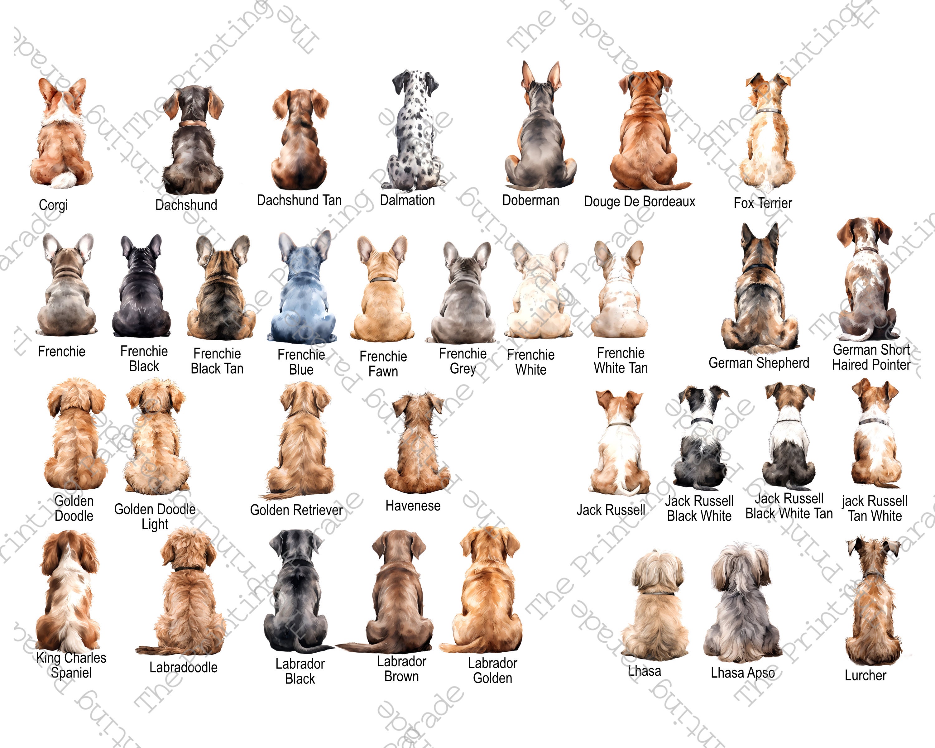Personalised Dog Bauble, Christmas Decoration, Choice of 4 Designs ...