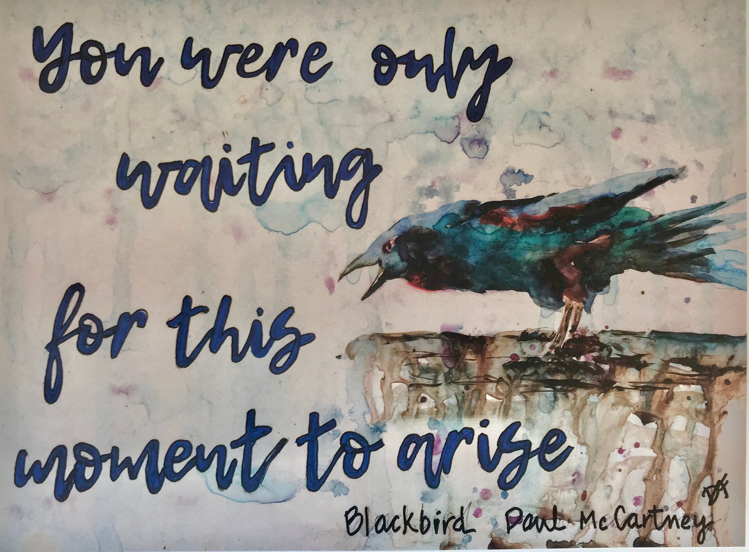 Beatles Quote, Blackbird Art, Song Lyrics, Printed Lyrics, Illustrated ...
