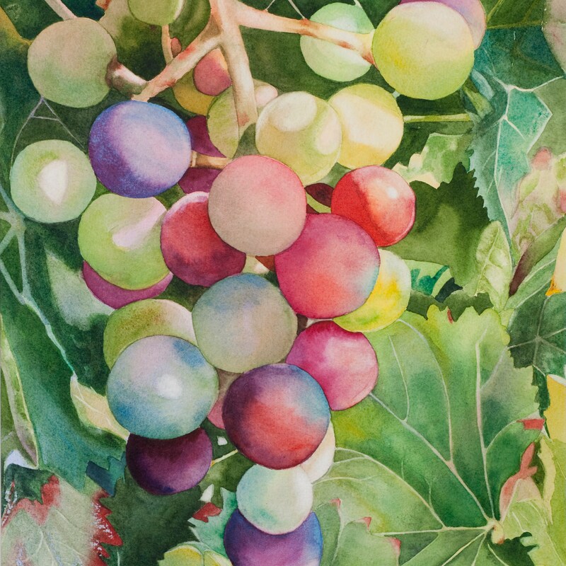 Winery Decor - Etsy