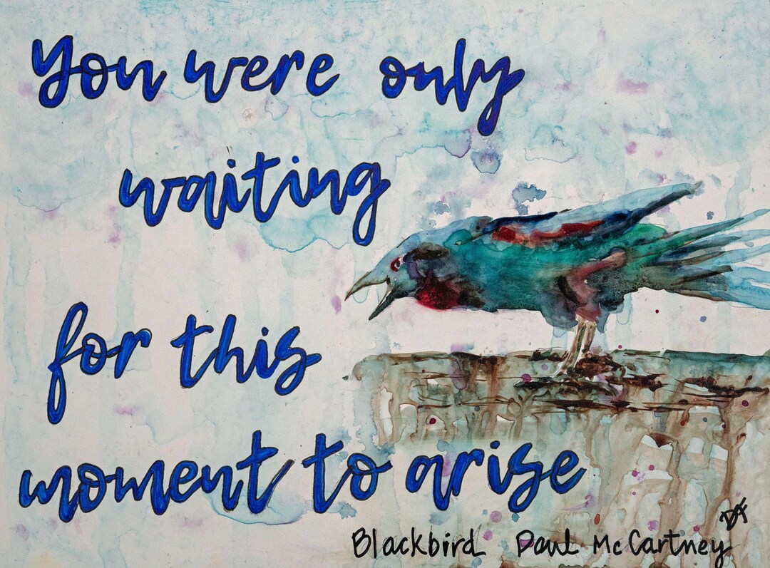 Beatles Quote, Blackbird Art, Song Lyrics, Printed Lyrics, Illustrated ...