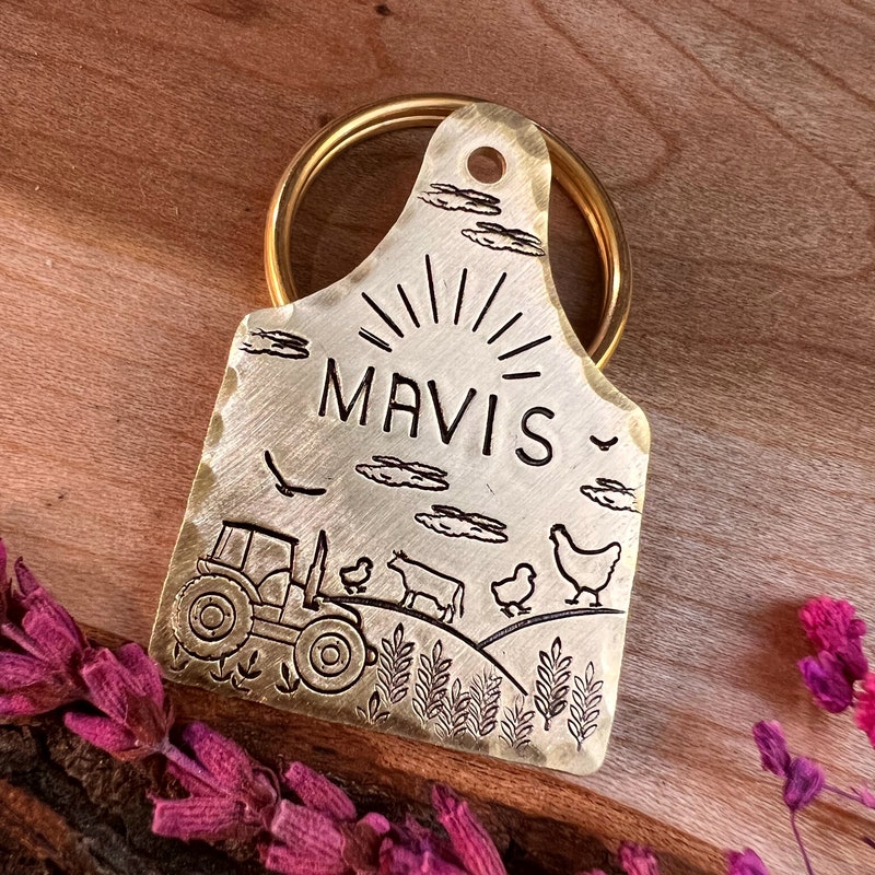 Custom Ear Tags - Etsy