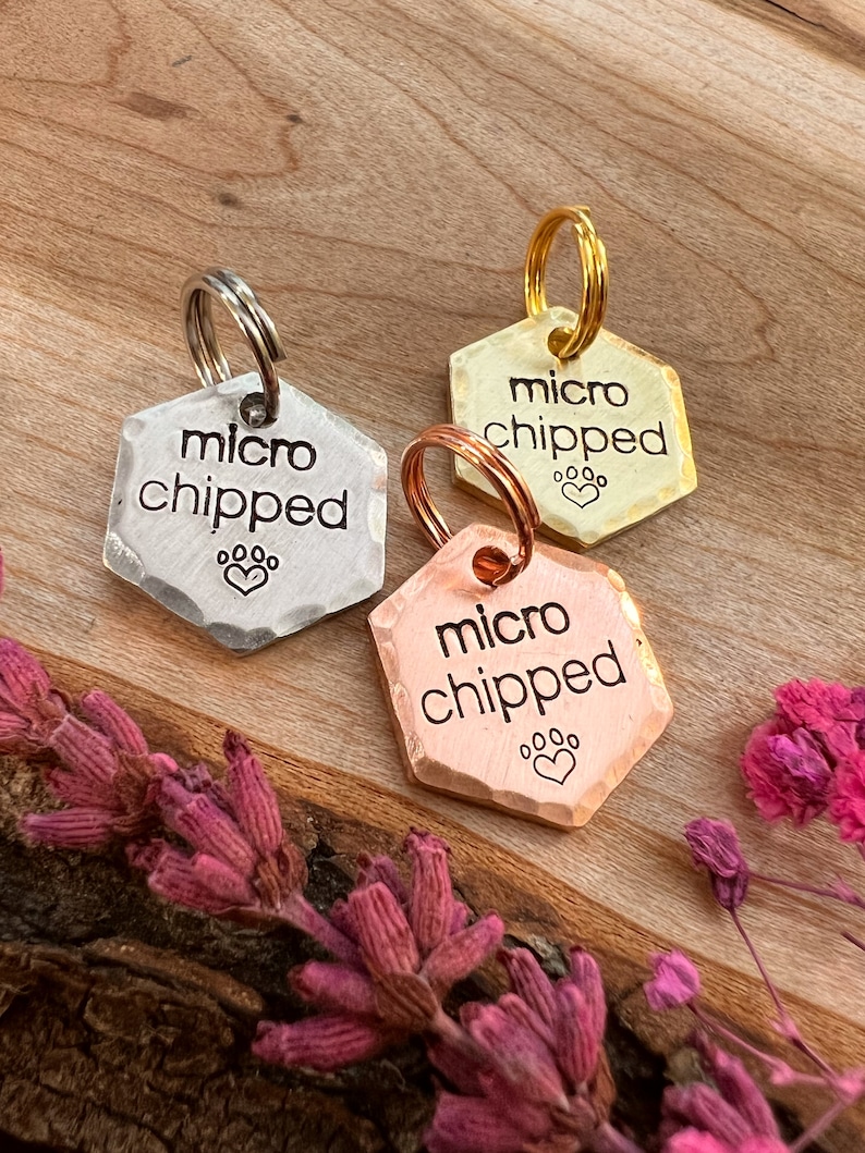 Mini Tag Microchip Tag Microchipped Pet ID Tag Dog Tag - Etsy