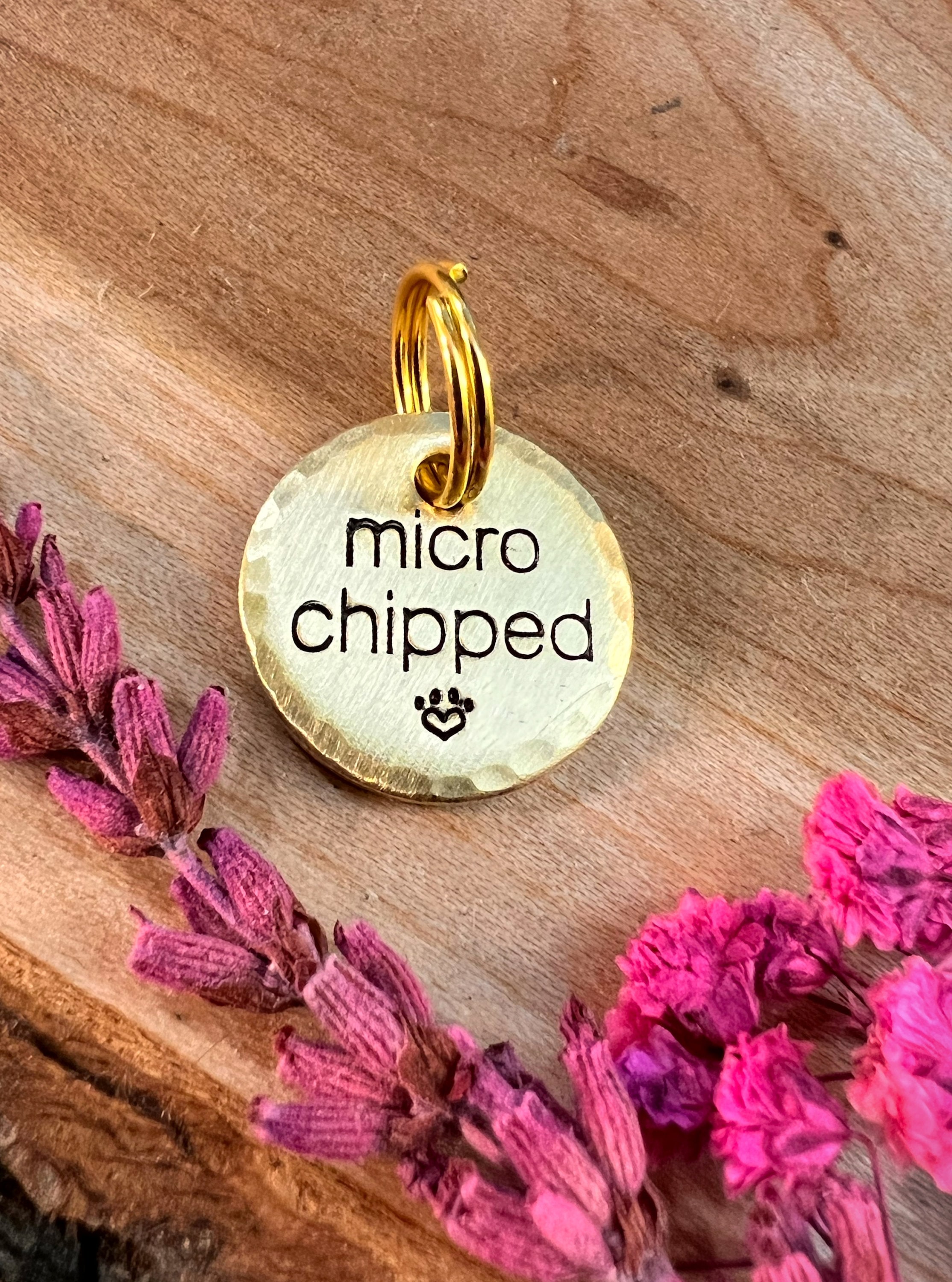 Mini Tag Microchip Tag Microchipped Pet ID Tag Dog Tag - Etsy Canada