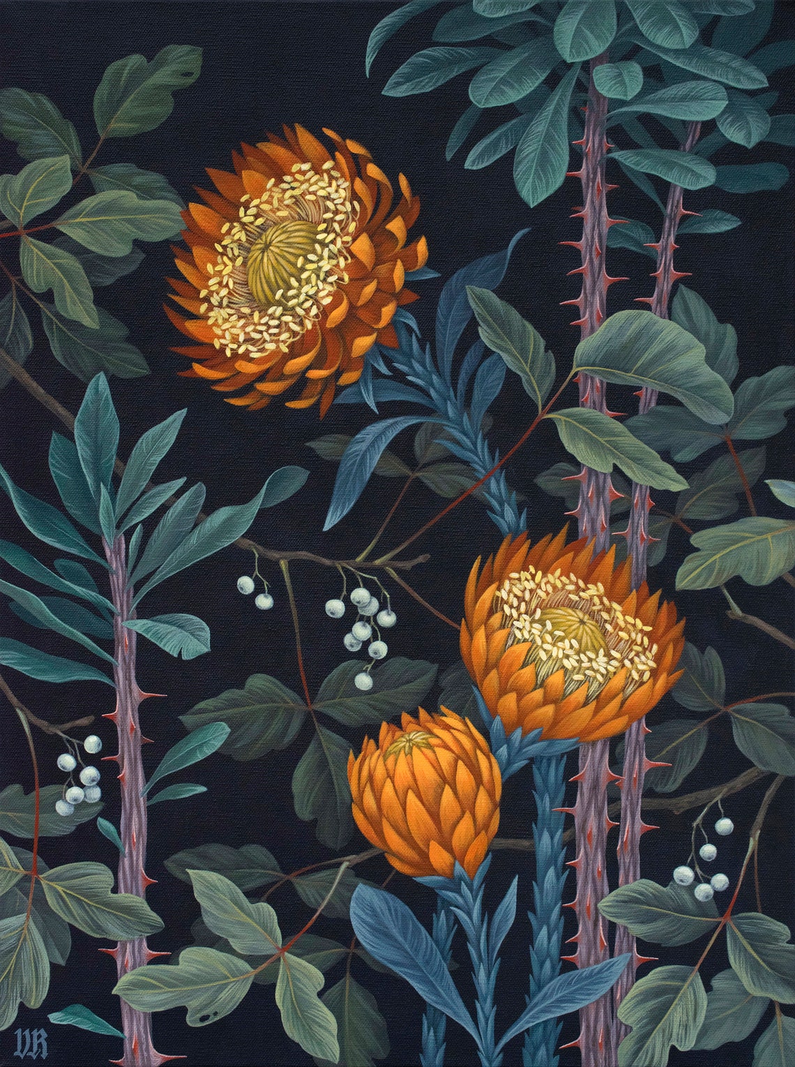 Art Print - "bittersweet" - Etsy