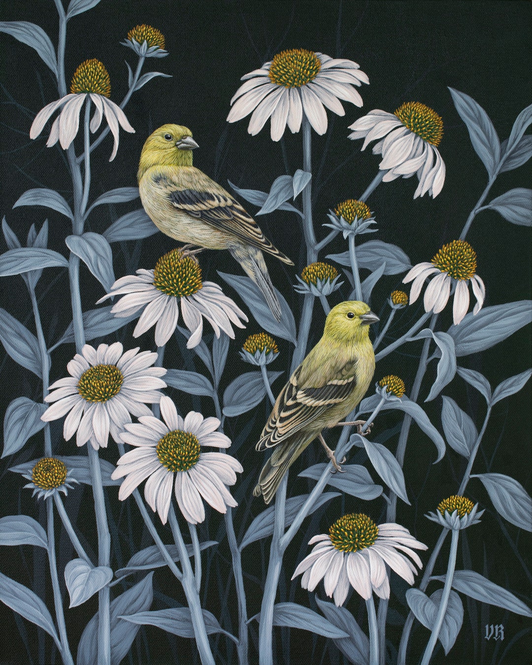 Finches and Coneflowers Print - Etsy