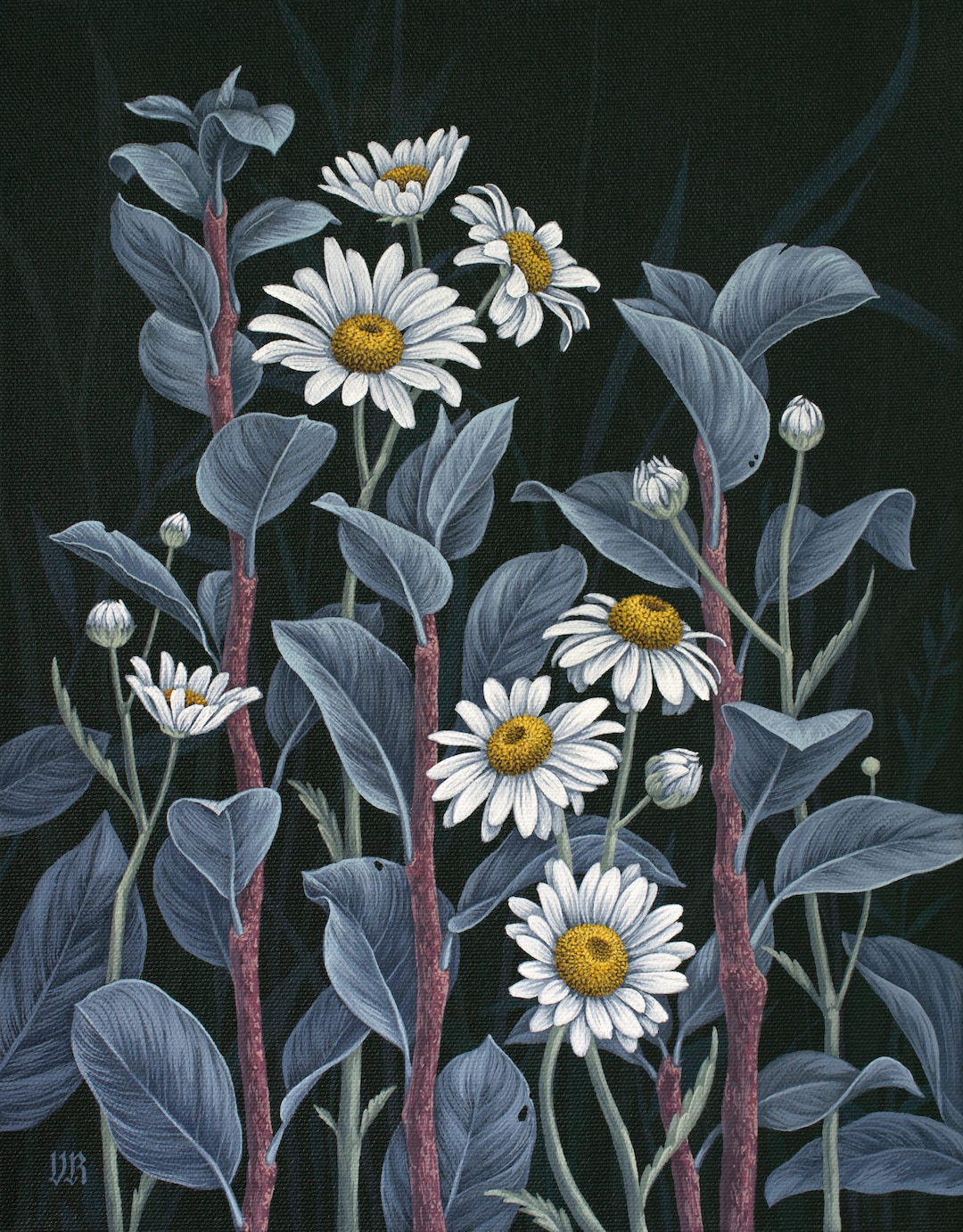 Daisies Print - Etsy
