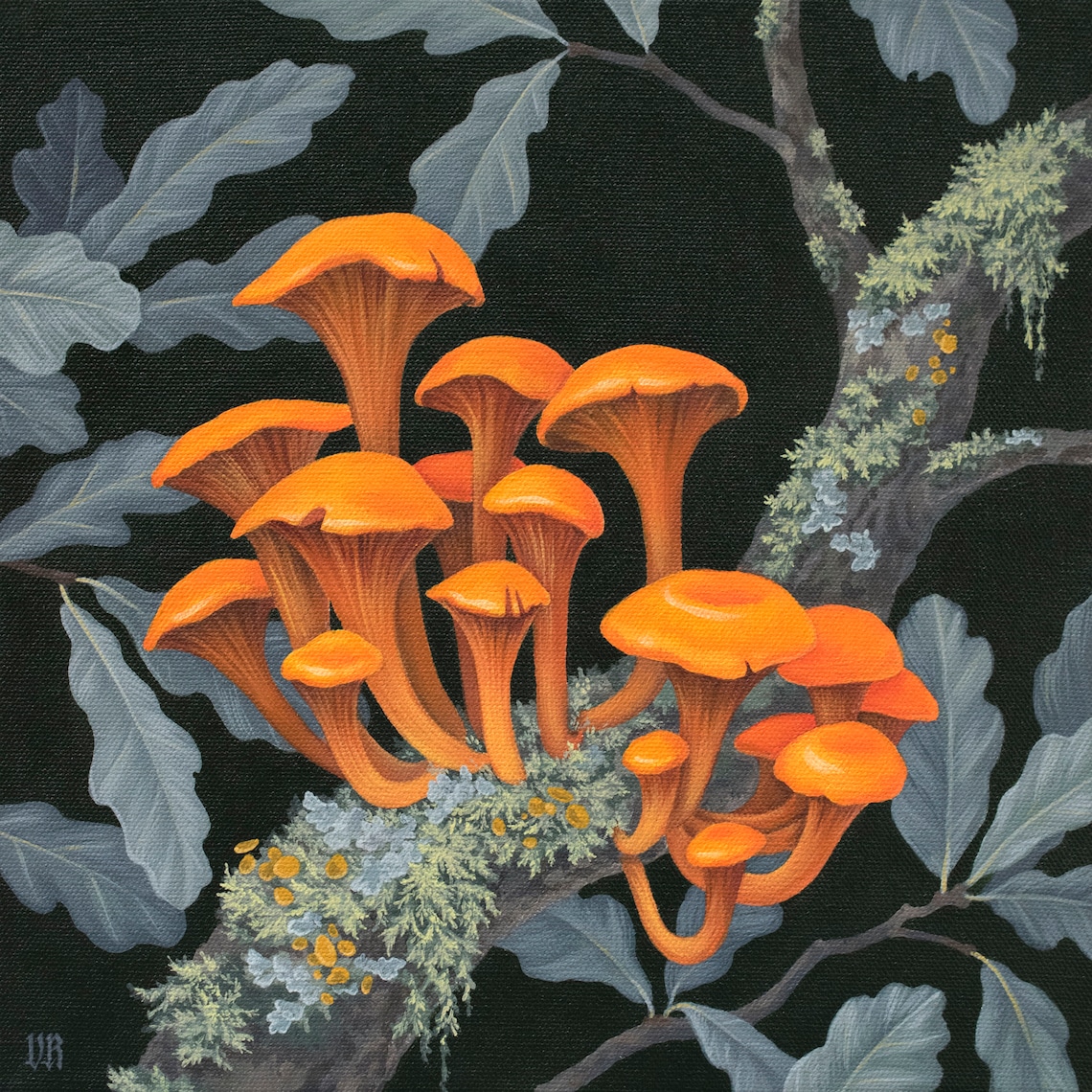 Fungi Print - Etsy