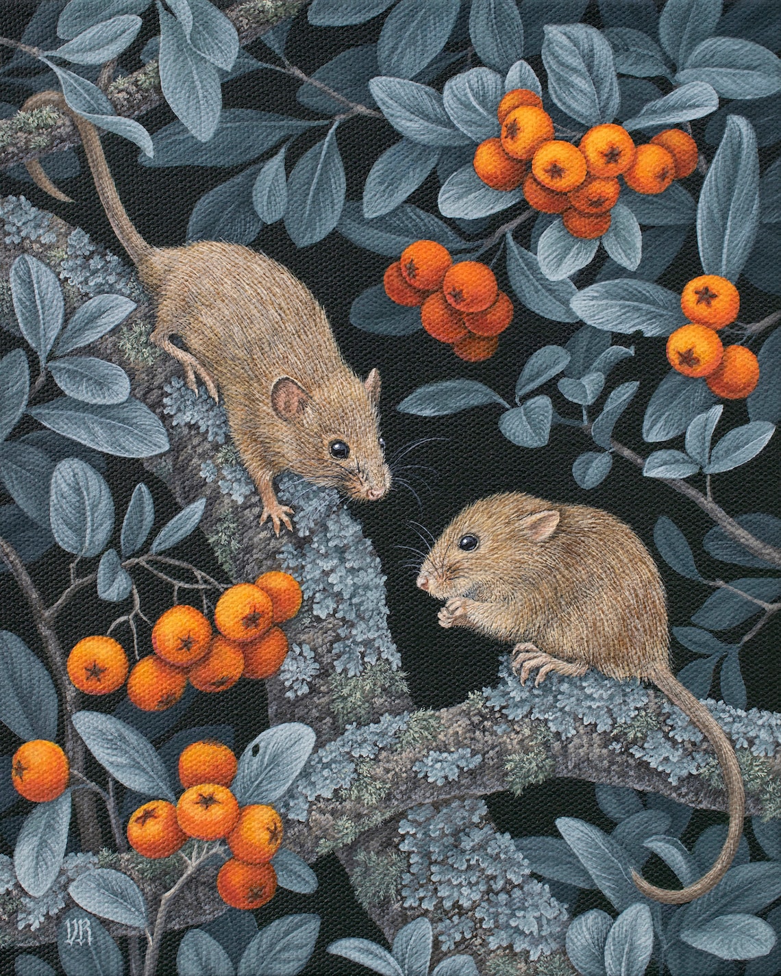 Harvest Mice Print - Etsy