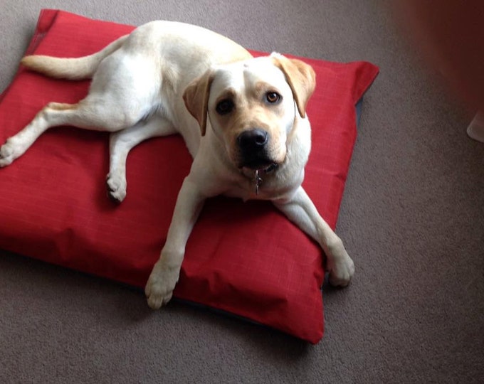 Dog Bed Canvas Kevlar Super Tough Design - Etsy Australia