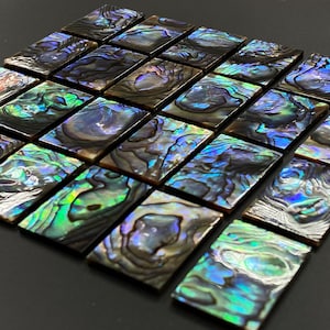 Natural Abalone Shell Rectangle Flat - 15x30mm, 20x30mm, 25x30mm (5/10 ...