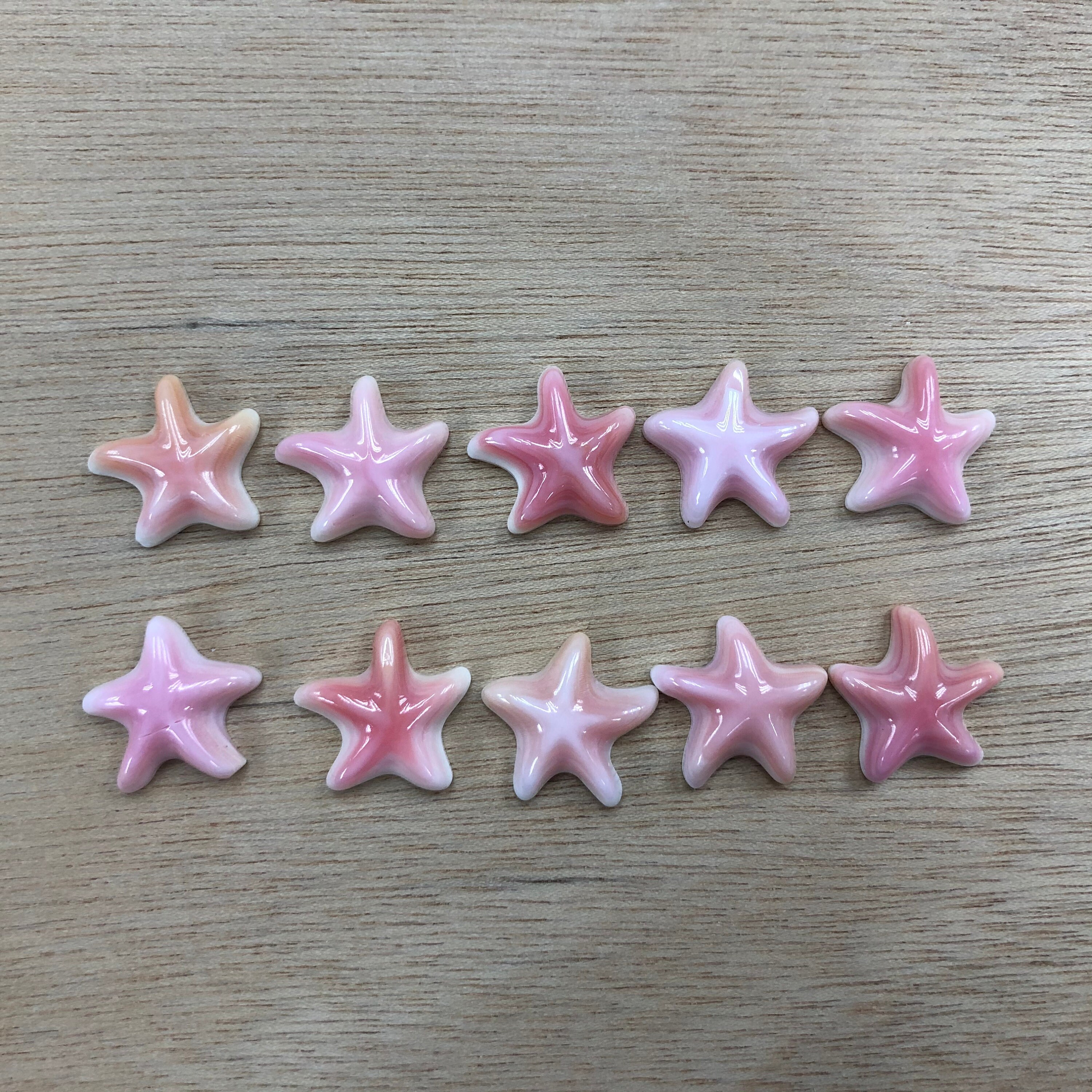 5 Pcs Natural Queen Conch Shell Loose Piece Starfish Shape 25mm - Etsy