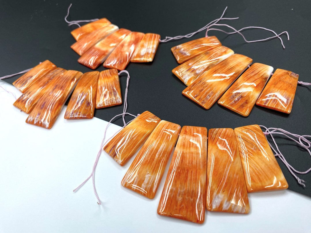 Natural Spiny Oyster Shell Graduated Shape (orange/red) - Etsy