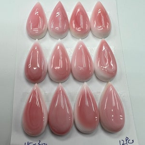 Pink Queen Conch Shell Teardrop Cabs 5x8mm/6x8mm/6x9mm/8x10mm/8x12mm ...