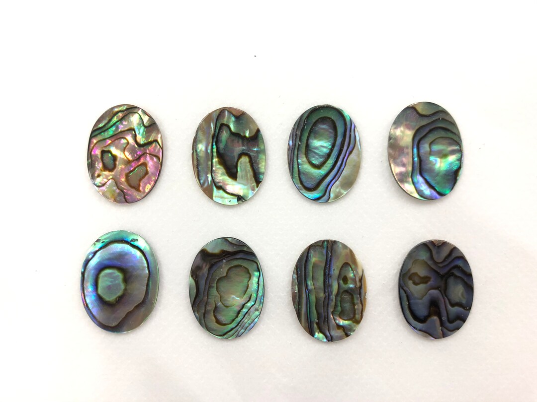 10pcs Abalone Shell Oval Flat 15x20mm Thickness 1mm - Etsy