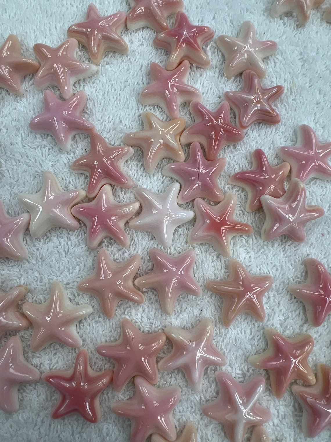5 Pcs Natural Queen Conch Shell Loose Piece Starfish Shape 25mm - Etsy