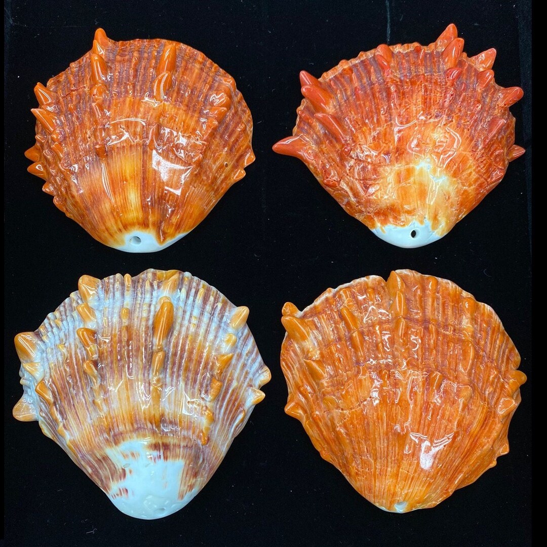 Natural Spiny Oyster Shell Druzy Shell Free Size (orange/red) - Etsy