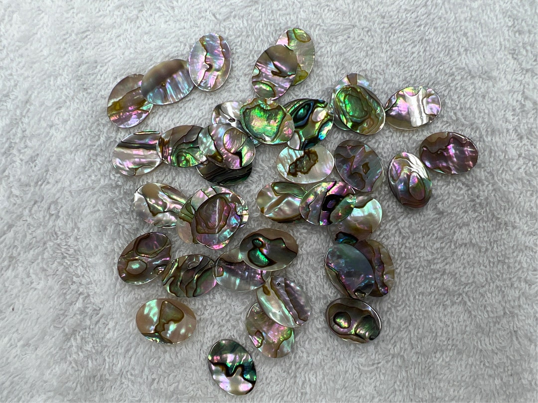 Abalone Shell Oval Flat - 13x18mm - Etsy