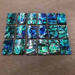 Natural Abalone Shell Rectangle Flat - 15x30mm, 20x30mm, 25x30mm (5/10 ...