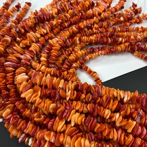 Spiny Oyster Shell Irregular Chip Beads Strand 16" Inches Small - Etsy