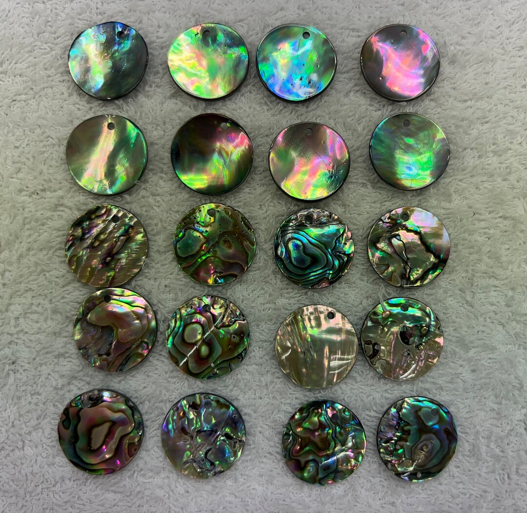 Natural Abalone Shell Round Loose Piece 20mm - Etsy