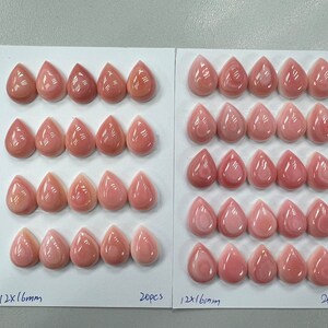 Pink Queen Conch Shell Teardrop Cabs 8x10mm 10x14mm 12x16mm - Etsy