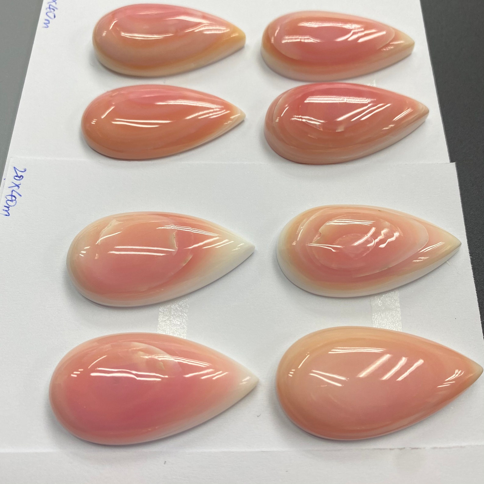 Pink Queen Conch Shell Teardrop Cabs 8x10mm 10x14mm 12x16mm - Etsy