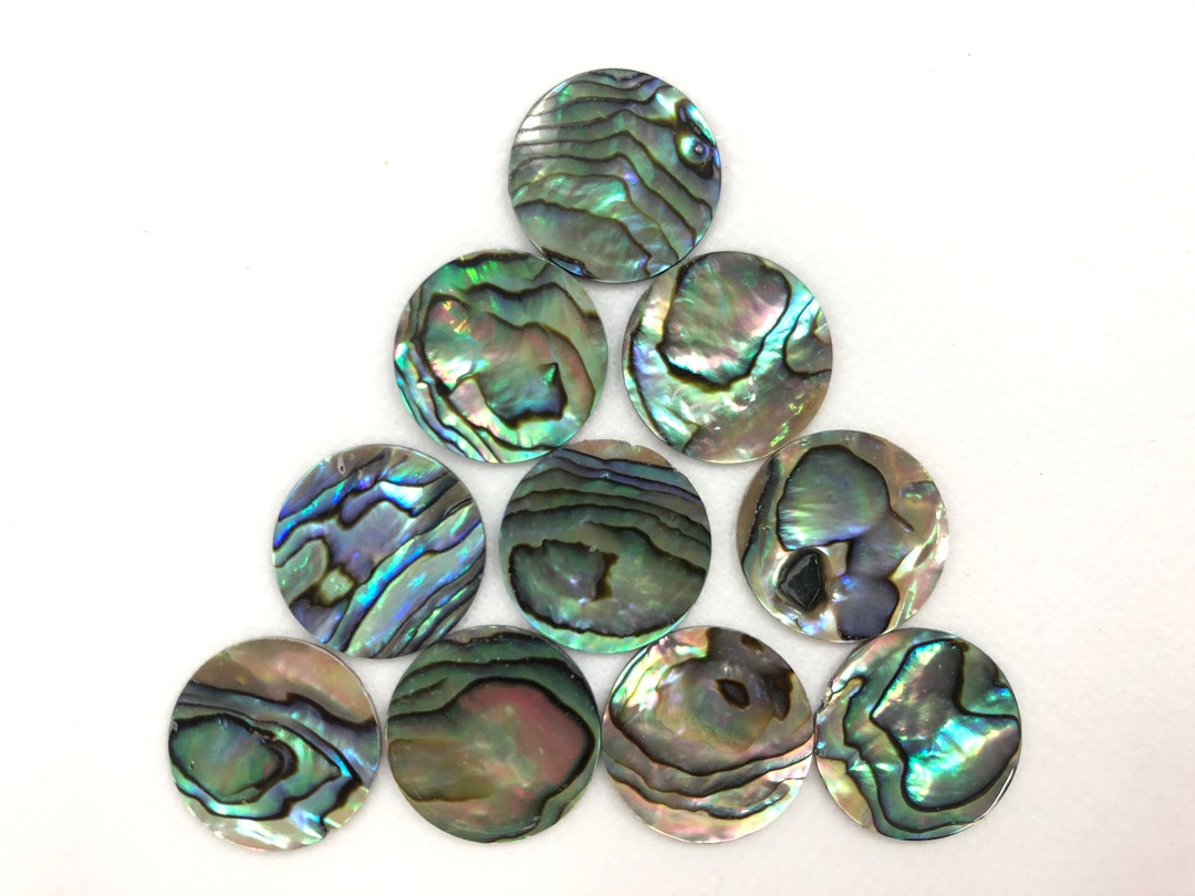 10pcs Abalone Shell Round Flat 12mm Thickness 1mm - Etsy