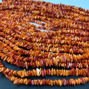 Spiny Oyster Shell Irregular Chip Beads Strand 16" Inches Small - Etsy