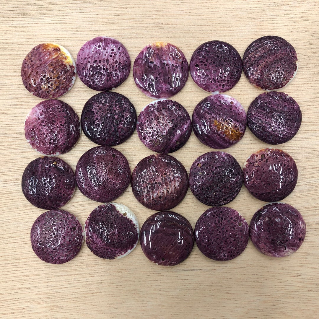 Purple Spiny Oyster Shell Round Pendant (large/medium 5pcs) - Etsy