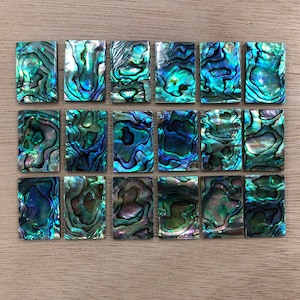 Natural Abalone Shell Rectangle Flat - 15x30mm, 20x30mm, 25x30mm (5/10 ...