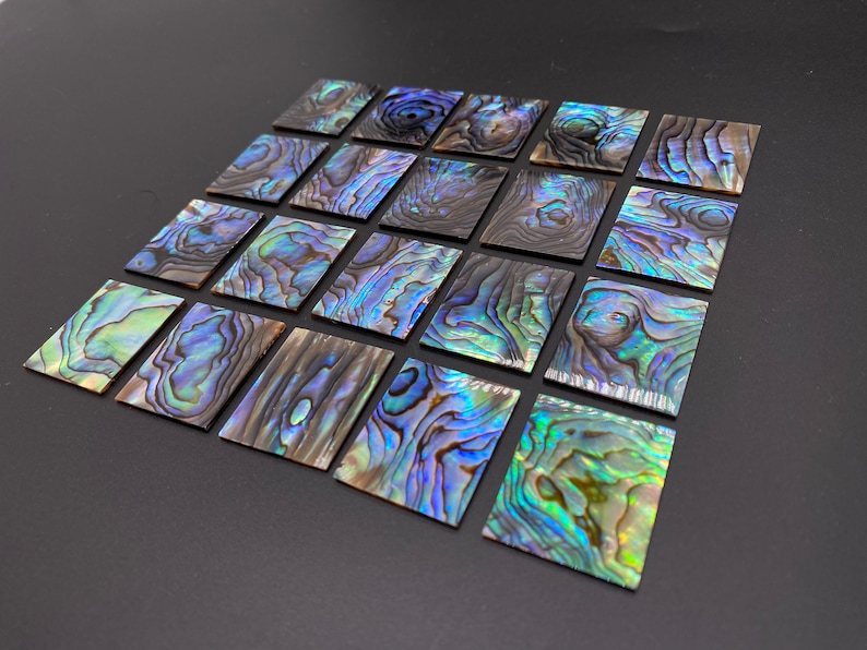 Natural Abalone Shell Rectangle Flat - 15x30mm, 20x30mm, 25x30mm (5/10 ...