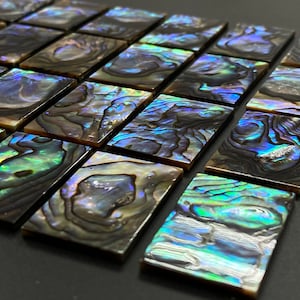 Natural Abalone Shell Rectangle Flat - 15x30mm, 20x30mm, 25x30mm (5/10 ...
