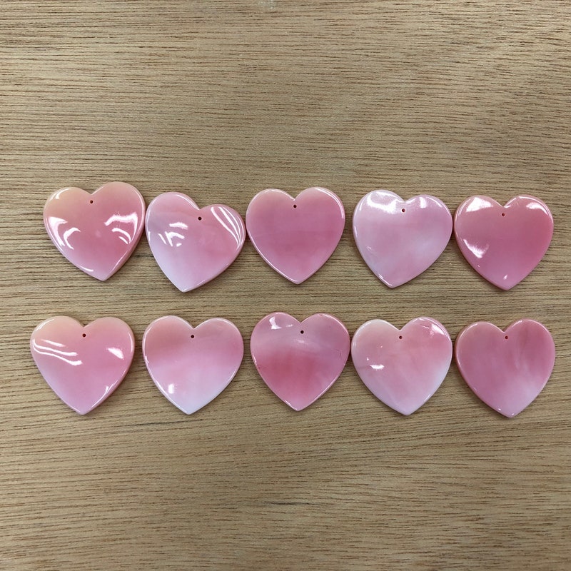 Conch Disc Shells - Etsy