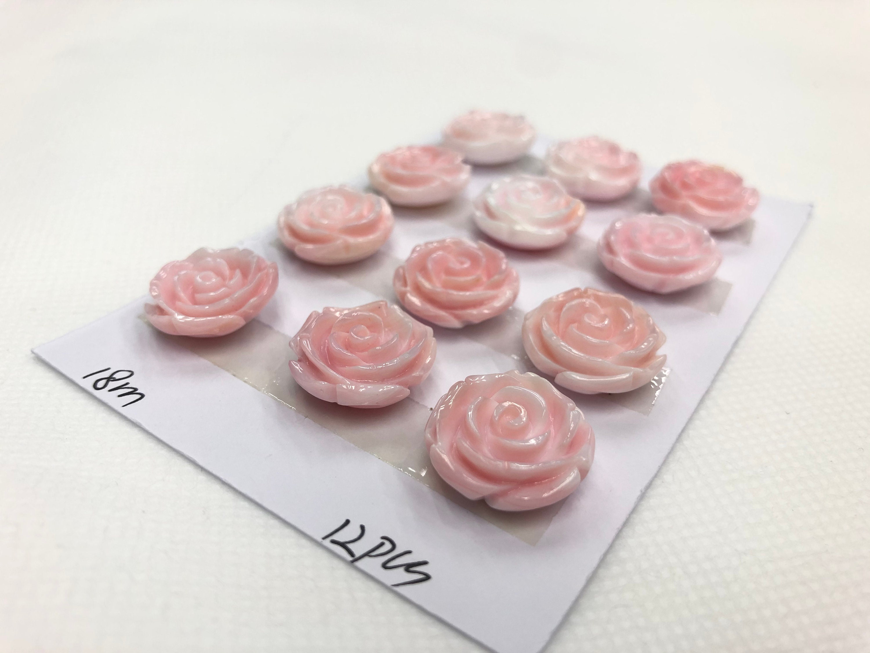 Pink Queen Conch Shell Rose Half Drilled 10mm 12mm 15mm 18mm - Etsy Canada