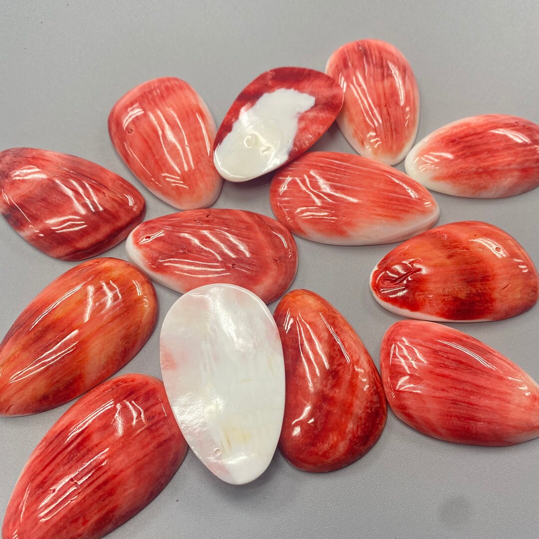 Red Spiny Oyster Shell Unique Pear Cabochon 31-32mm X 50-52mm - Etsy