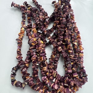 Rare Natural Purple Spiny Oyster Shell Chips 16" - Etsy