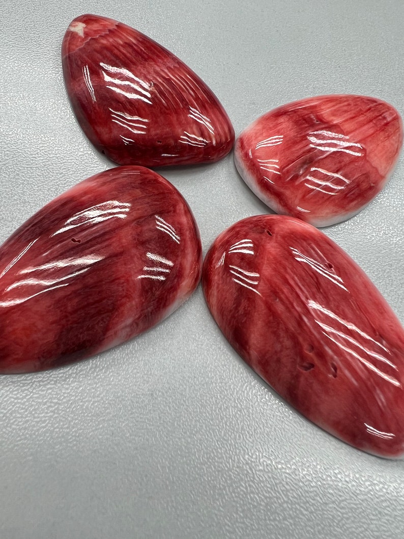 Red Spiny Oyster Shell Unique Pear Cabochon 31-32mm X 50-52mm - Etsy