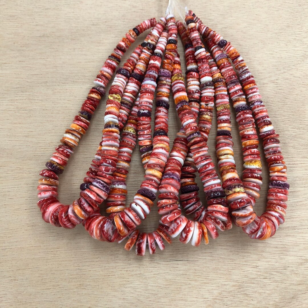 Spiny Oyster Shell Graduated Disc Mix Color - Etsy