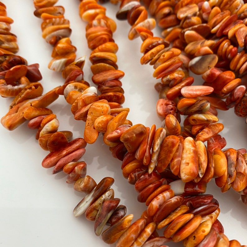 Spiny Oyster Shell Irregular Chip Beads Strand 16 Inches - Etsy