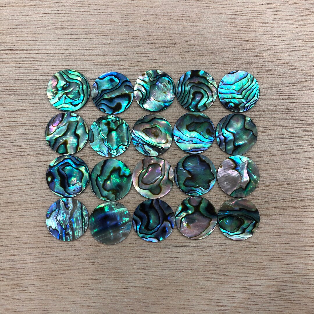 10pcs Abalone Shell Round Flat 15mm Thickness 1mm - Etsy