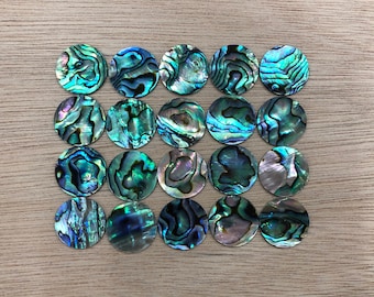 Flat Round Shell - Etsy