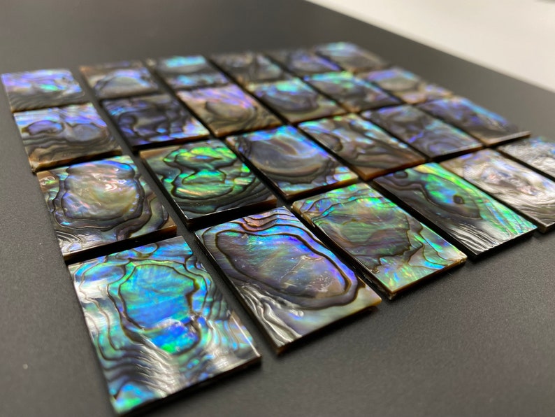 Natural Abalone Shell Rectangle Flat - 15x30mm, 20x30mm, 25x30mm (5/10 ...