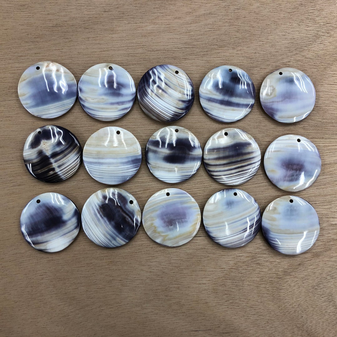 5pcs Natural Wampum Quahog Shell Loose Piece Round Shape 48-52mm - Etsy