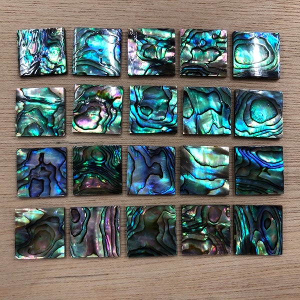 Blue Abalone Shell - Etsy