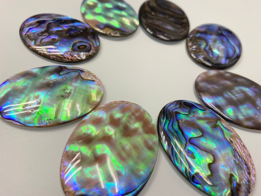 Abalone Shell Oval 32x44mm 2pcs - Etsy