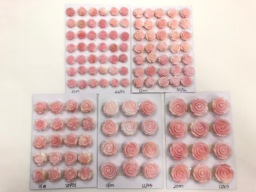 Pink Queen Conch Shell Rose Half Drilled 10mm 12mm 15mm 18mm 20mm - Etsy