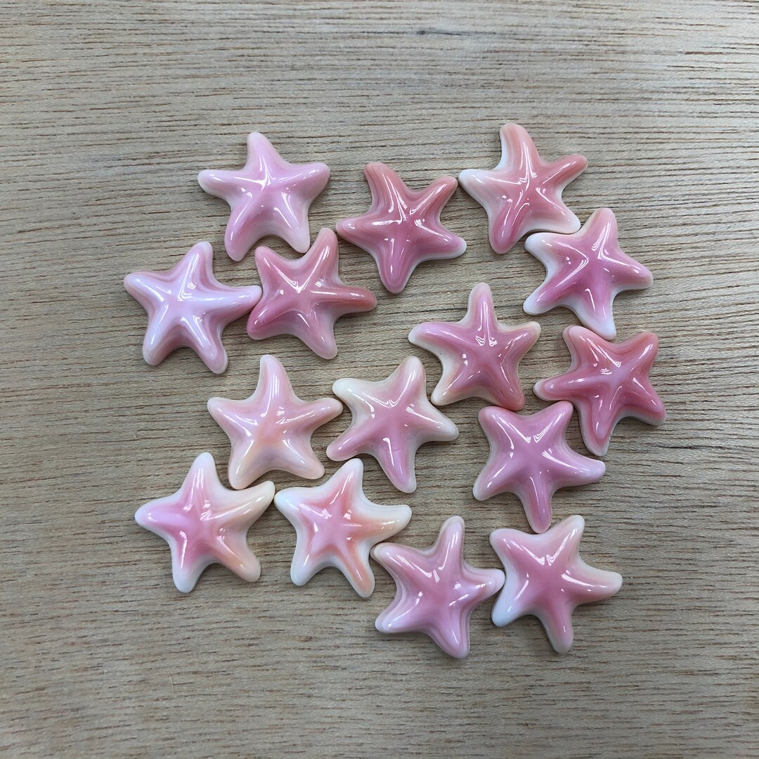 5 Pcs Natural Queen Conch Shell Loose Piece Starfish Shape 25mm - Etsy