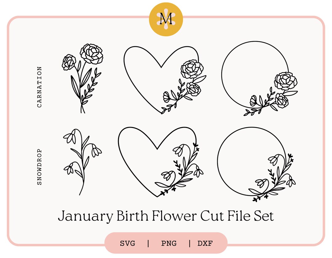 Birth Flower Svgs January Carnation Snowdrop Floral Flowers Cut File ...